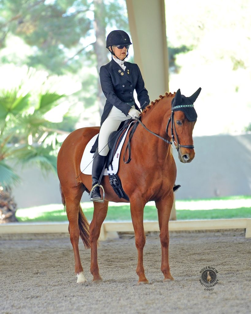 Petit Syrah and Mary Brann – American Warmblood Society & Sporthorse ...